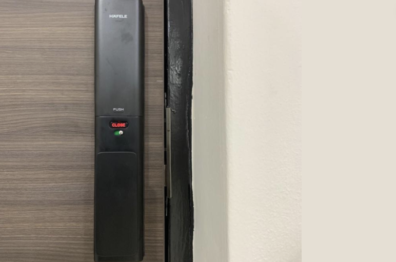 Why the Hafele PP8100 is the Ultimate Choice for Sophisticated Spaces ...